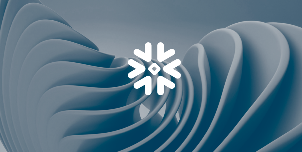 Snowflake Platform: A New Era in Cloud Data Analytics